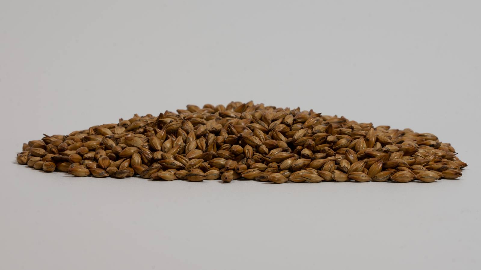 Dark Crystal Malt | Crystal 220 | French and Jupps